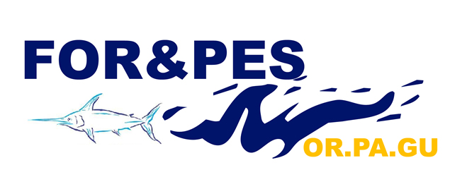 forpes | Informática San Benito